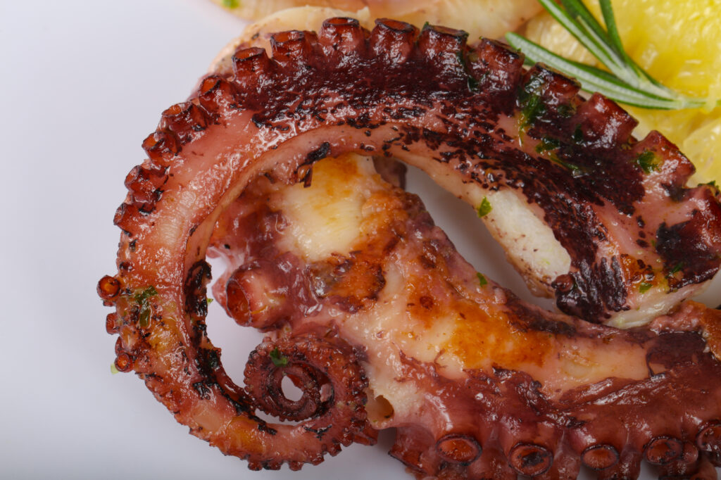 Easy Healthy Grilled Octopus Recipe – Greek Style